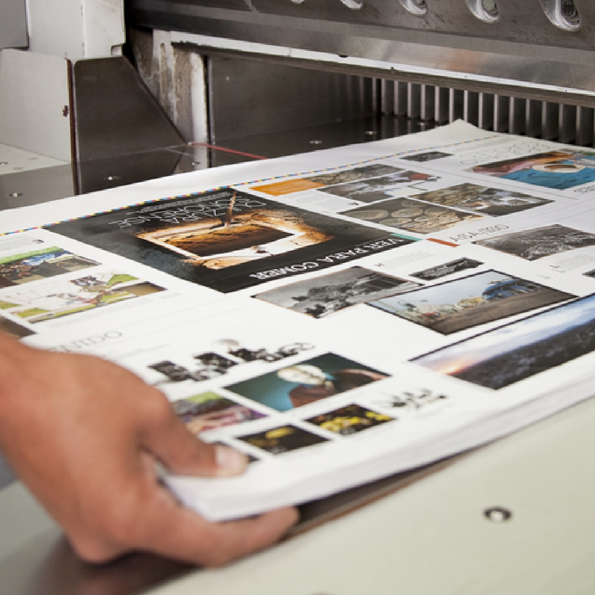 SignLab – Creative Signage